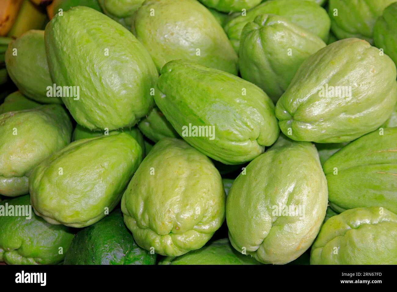 Chayote (Sechium adule) Gemuese, Bauernmarkt, Funchal, Insel Madeira ...
