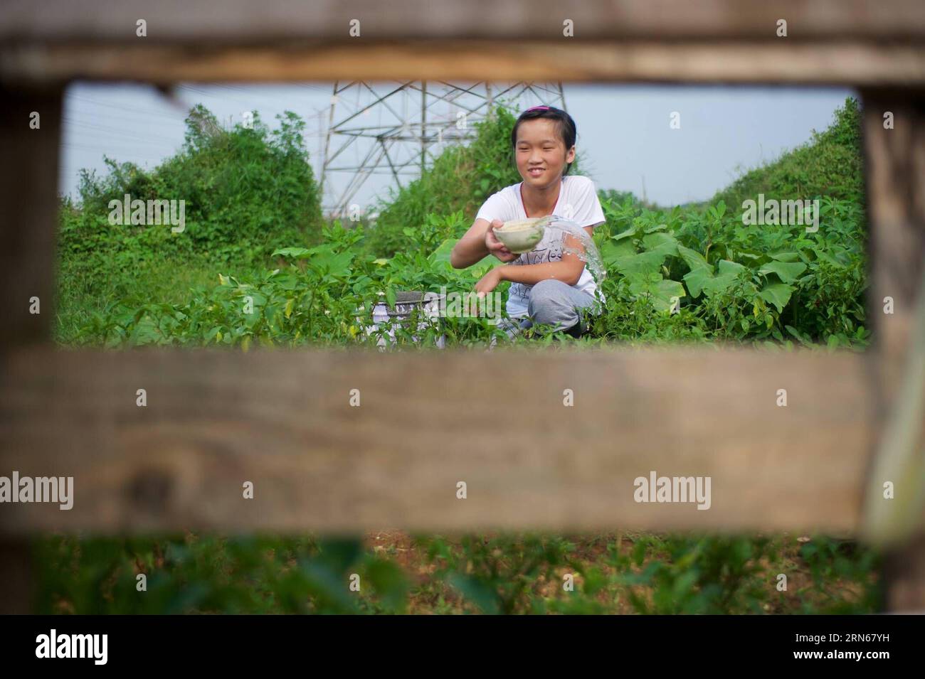 Li Wenyu waters vegetable at home in a village, Nanchang City of east ...