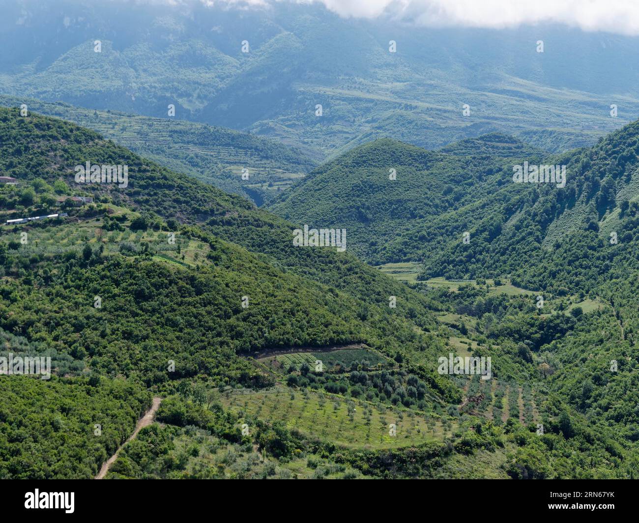 Mediterranean agriculture hi-res stock photography and images - Alamy