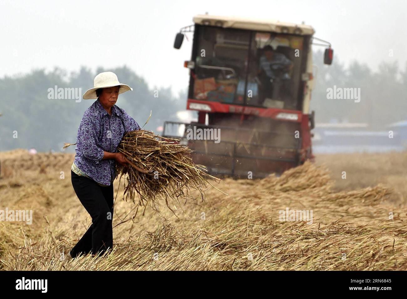 Nanyang city henan province china hi-res stock photography and images ...