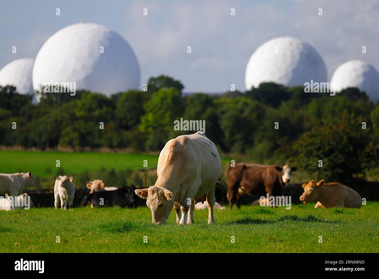 RAF Menwith Hill Listening Station near Harrogate, North Yorkshire ...