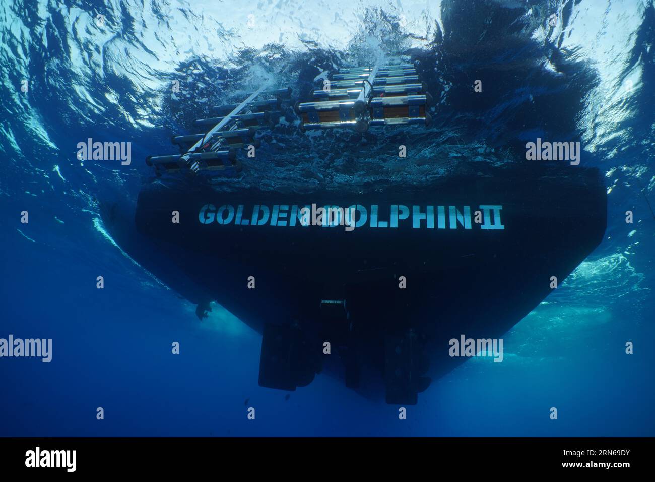 Safari boat, dive boat, Livaboard Golden Dolphin II, from below, ladder ...