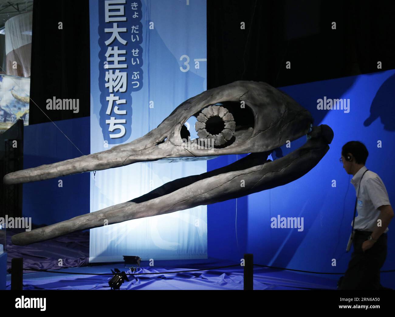 Shonisaurus Skeleton