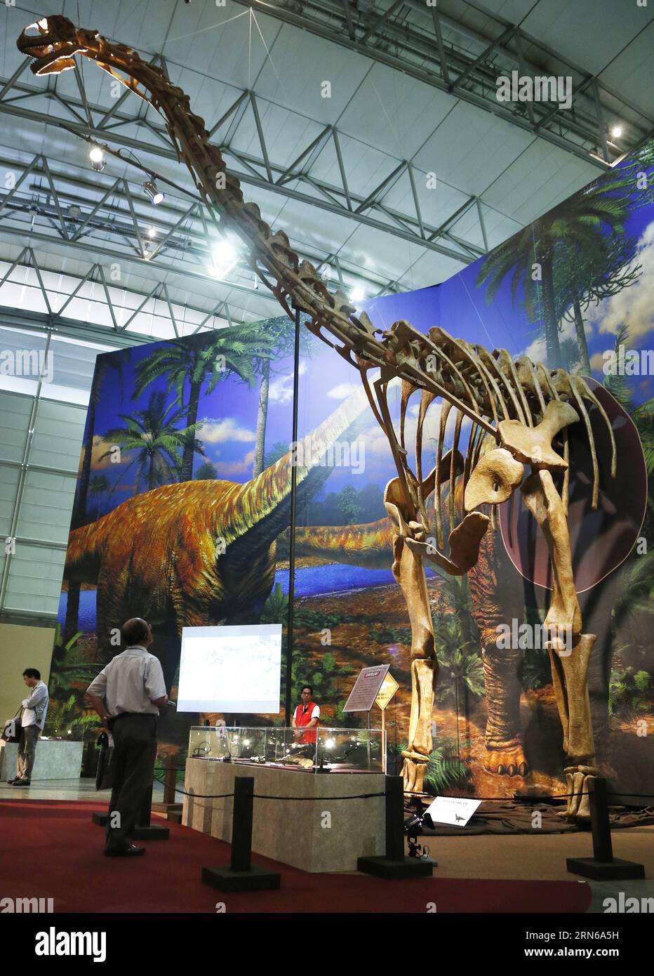 (150717) -- TOKYO, July 17, 2015 -- A man looks at a replica of a ...