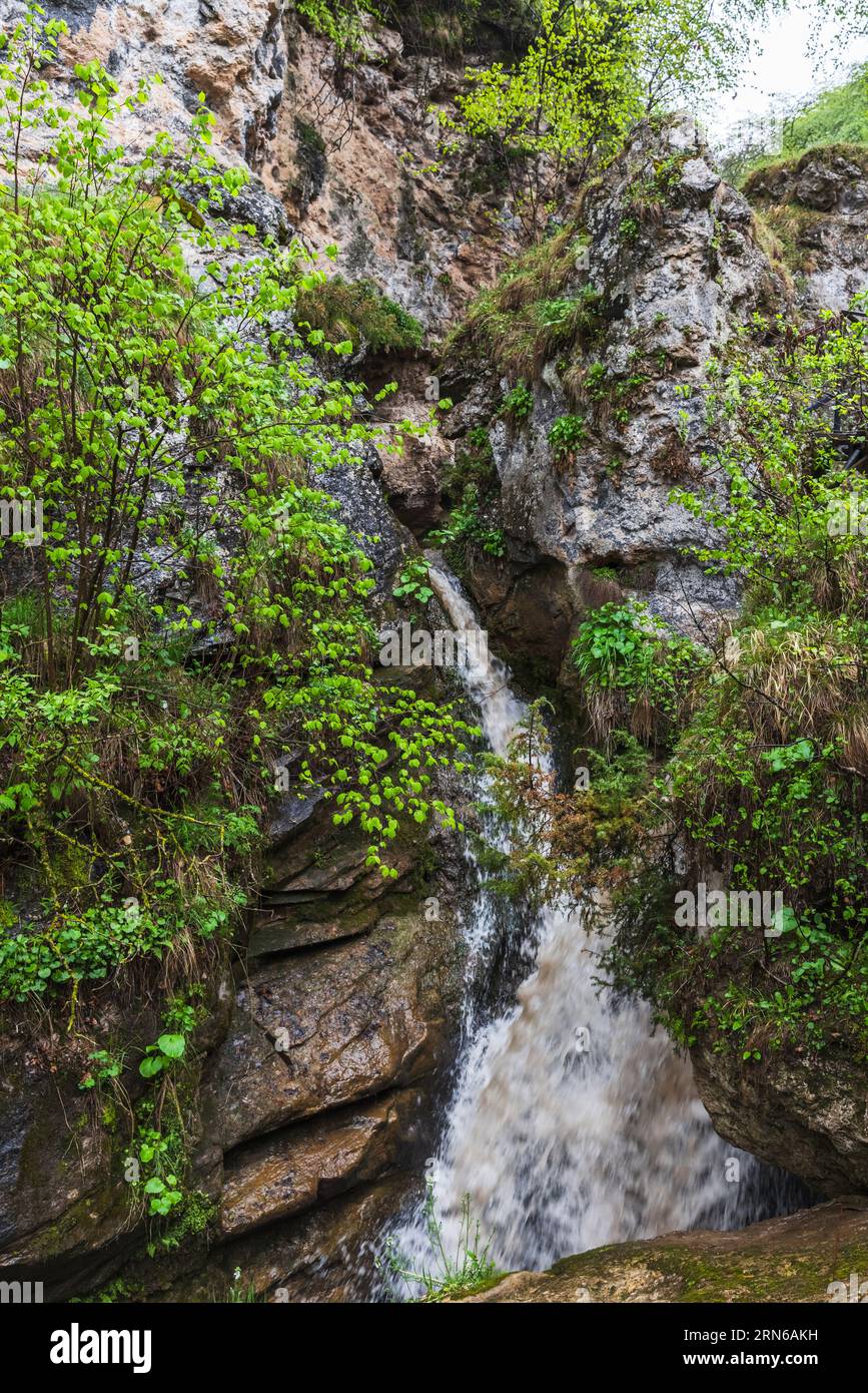Vertical landscape with Honey waterfalls. This is a group of waterfalls ...