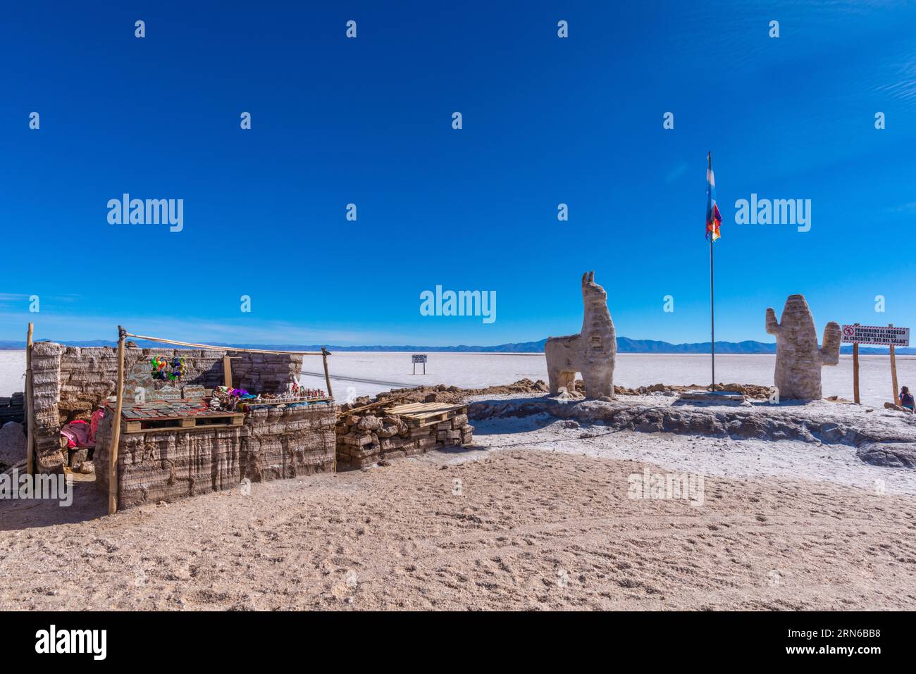 800 sq km salt desert Salinas Grandes, dromedary and cactus made of ...