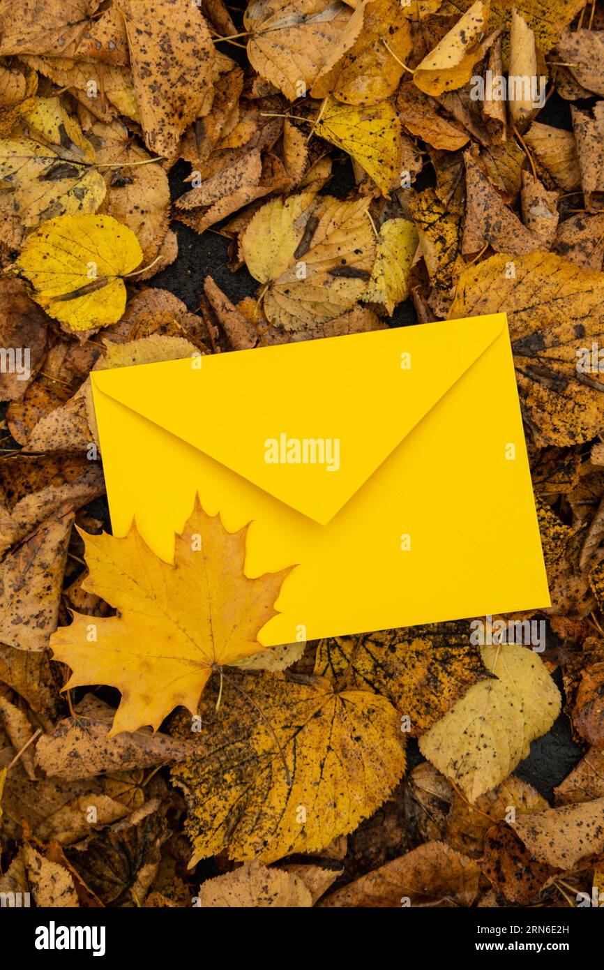 Empty yellow envelope mock up around Colorful falling autumn leaves ...