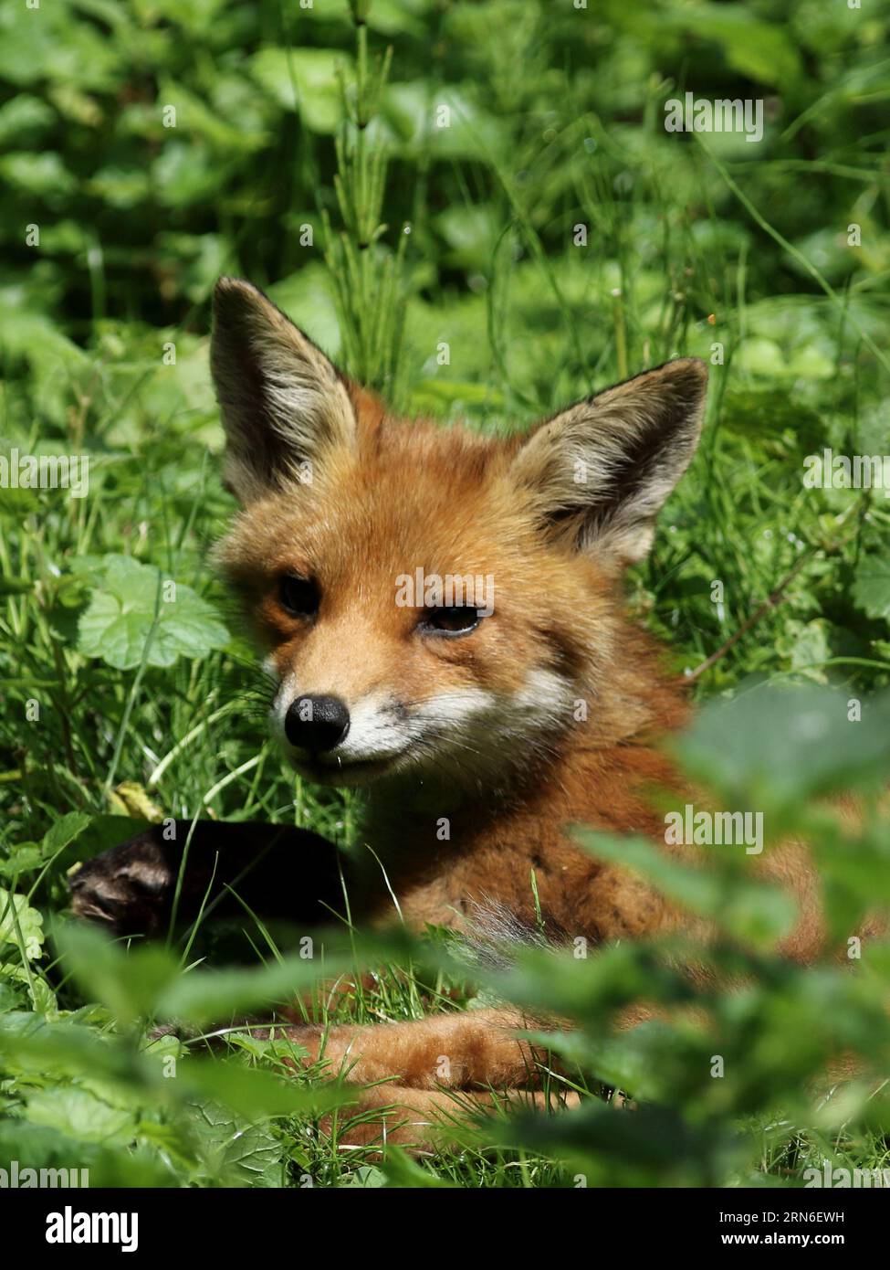 Sunny spot hi-res stock photography and images - Alamy