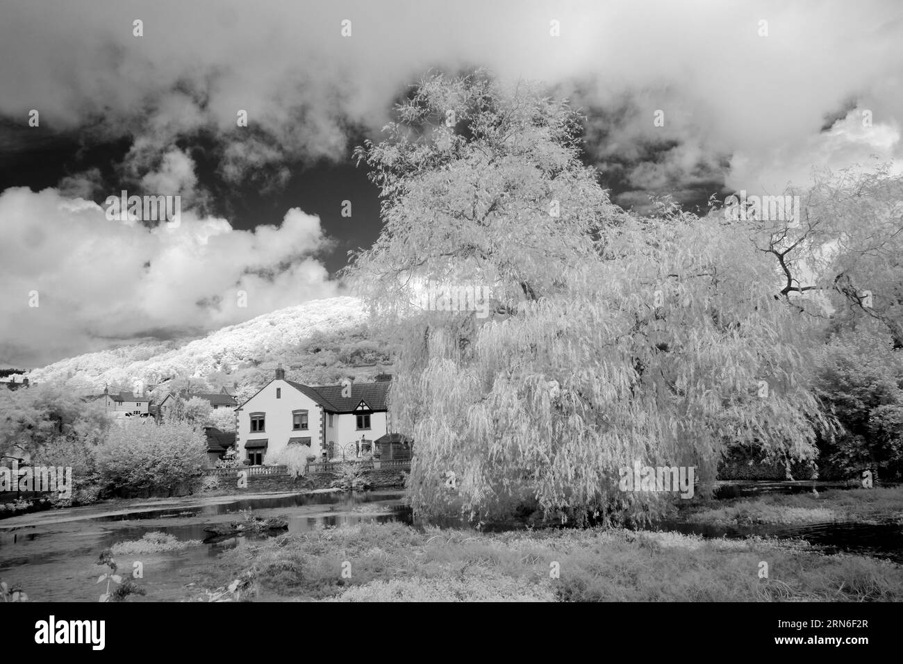 August 2023 - The Bays pond at the base of Cheddar Gorge in Somerset ...