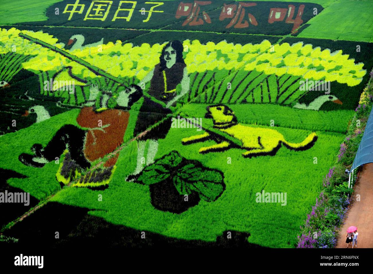 (150725) -- SHENYANG, July 25, 2015 -- Photo taken on July 25, 2015 ...