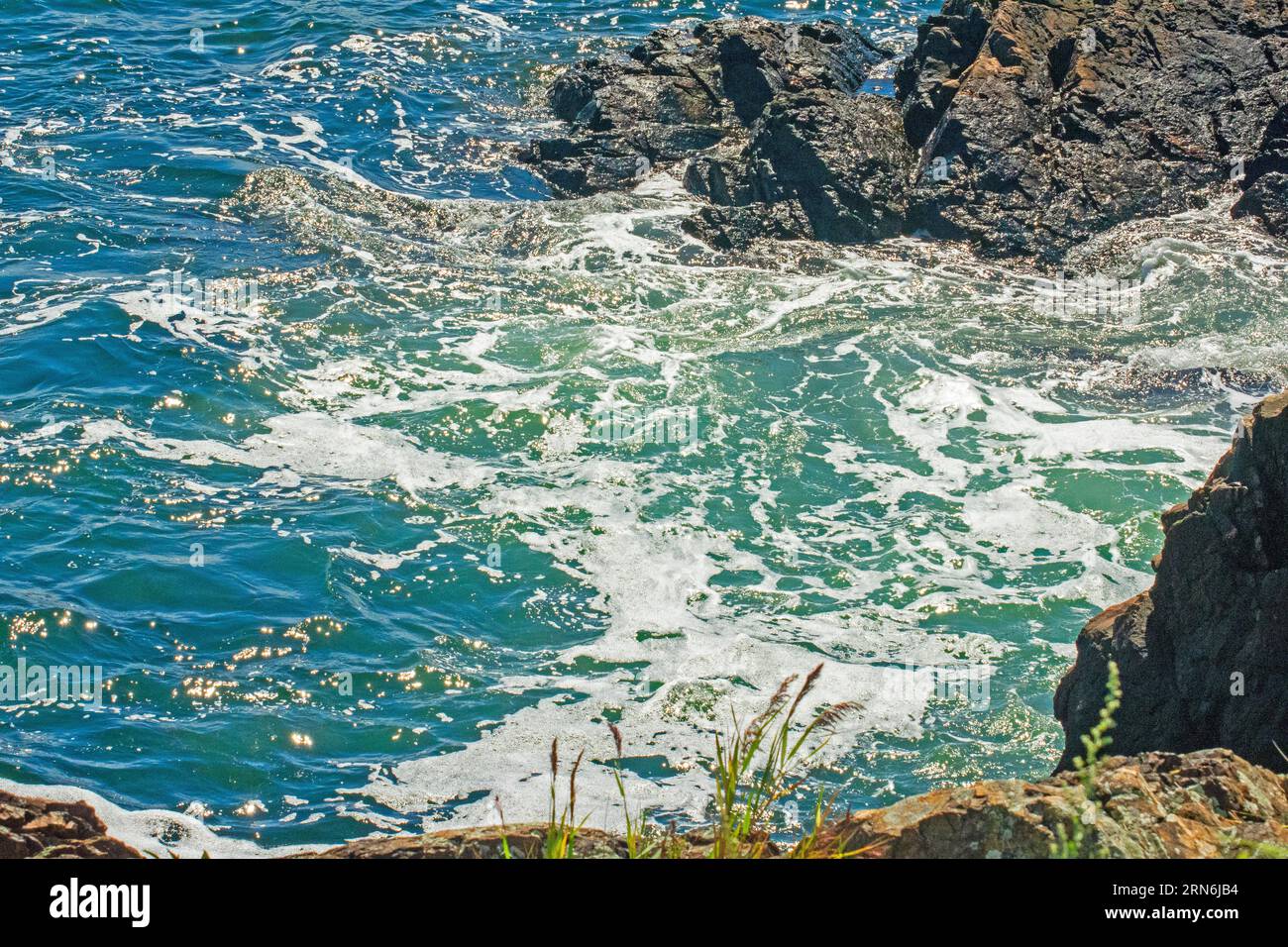Atlantic Ocean and unique harbors draw a variety of images to admire ...
