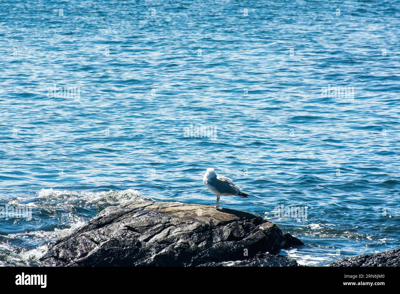 Atlantic Ocean and unique harbors draw a variety of images to admire ...