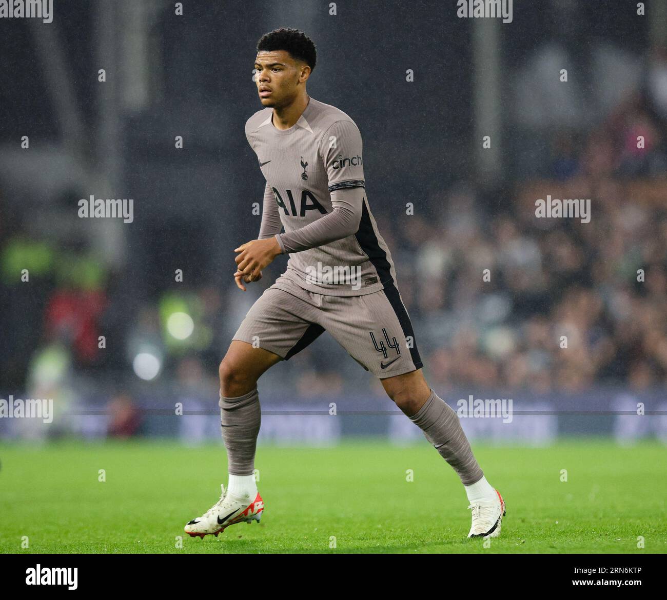 LONDON, UK - 29th Aug 2023: Dane Scarlett of Tottenham Hotspur looks on ...