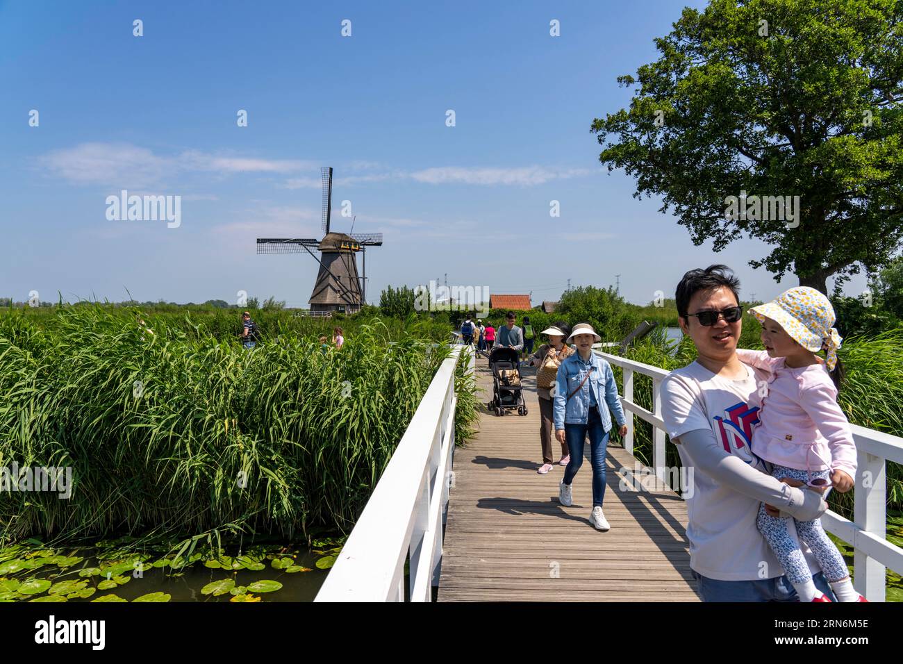Kinderdijk, 18 windmills that pumped water from the polders in order to use the land, one of the ...