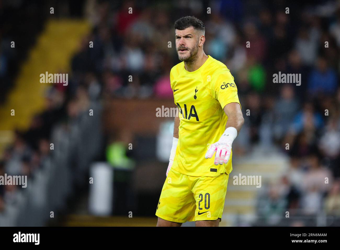 Fraser forster tottenham 2023 hi-res stock photography and images - Alamy Fraser forster tottenham 2023 hi-res stock photography and images - Alamy