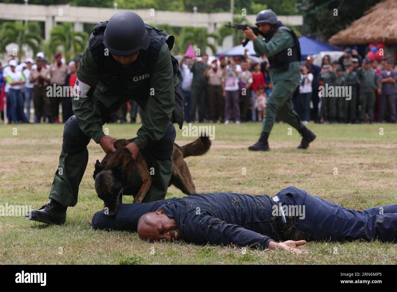 K9 units hi-res stock photography and images - Alamy