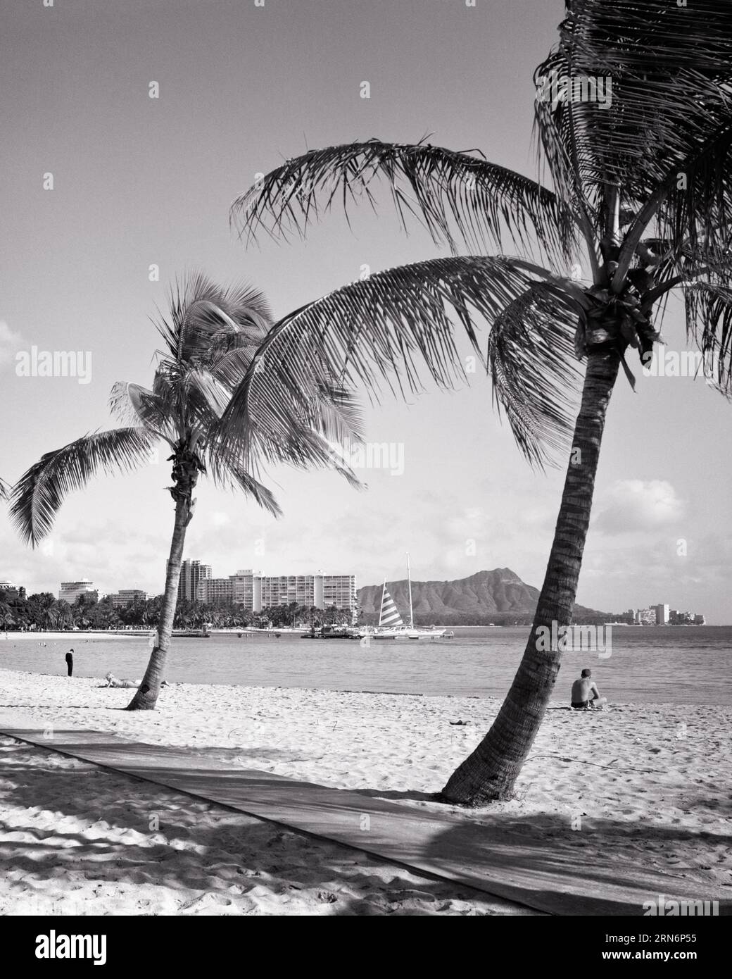 1960s PALM TREES ON BEACH HANAUMA BAY WAIKIKI HONOLULU OAHU HAWAII WITH ...