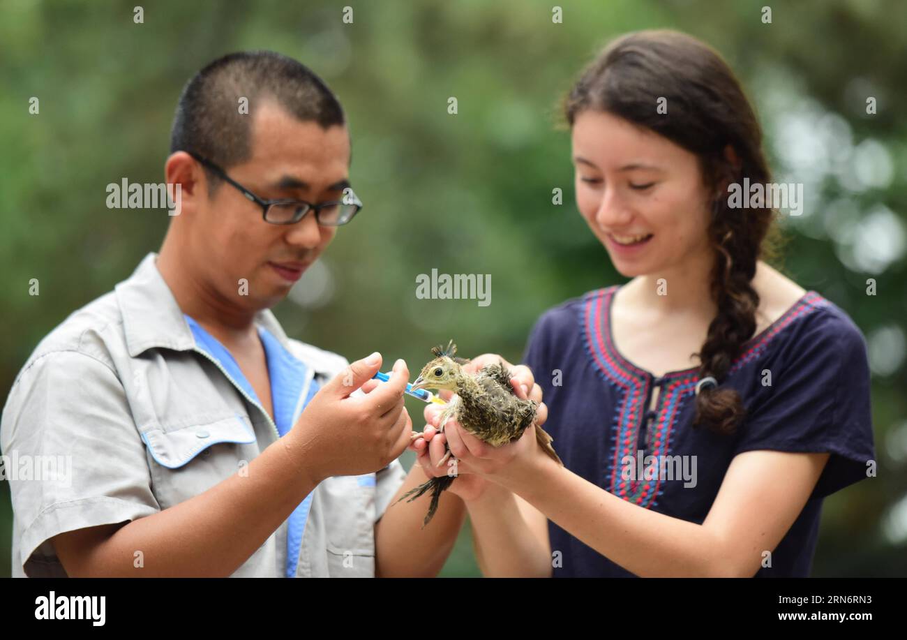 Zoo keeper children hi-res stock photography and images - Alamy