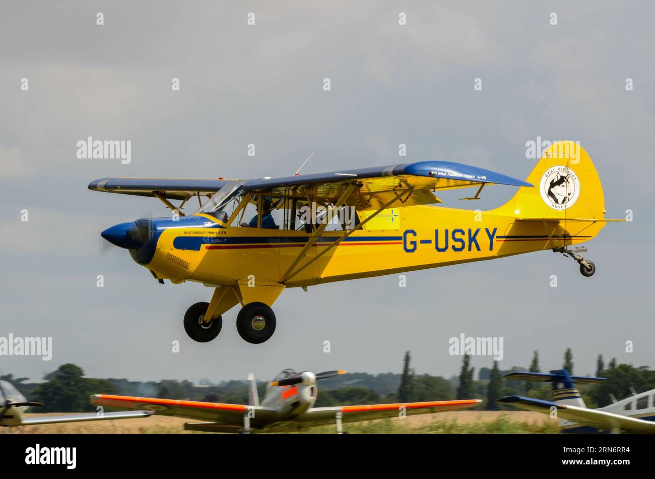 Aviat A-1B Husky plane G-USKY, tandem two-seat high-wing, utility light ...