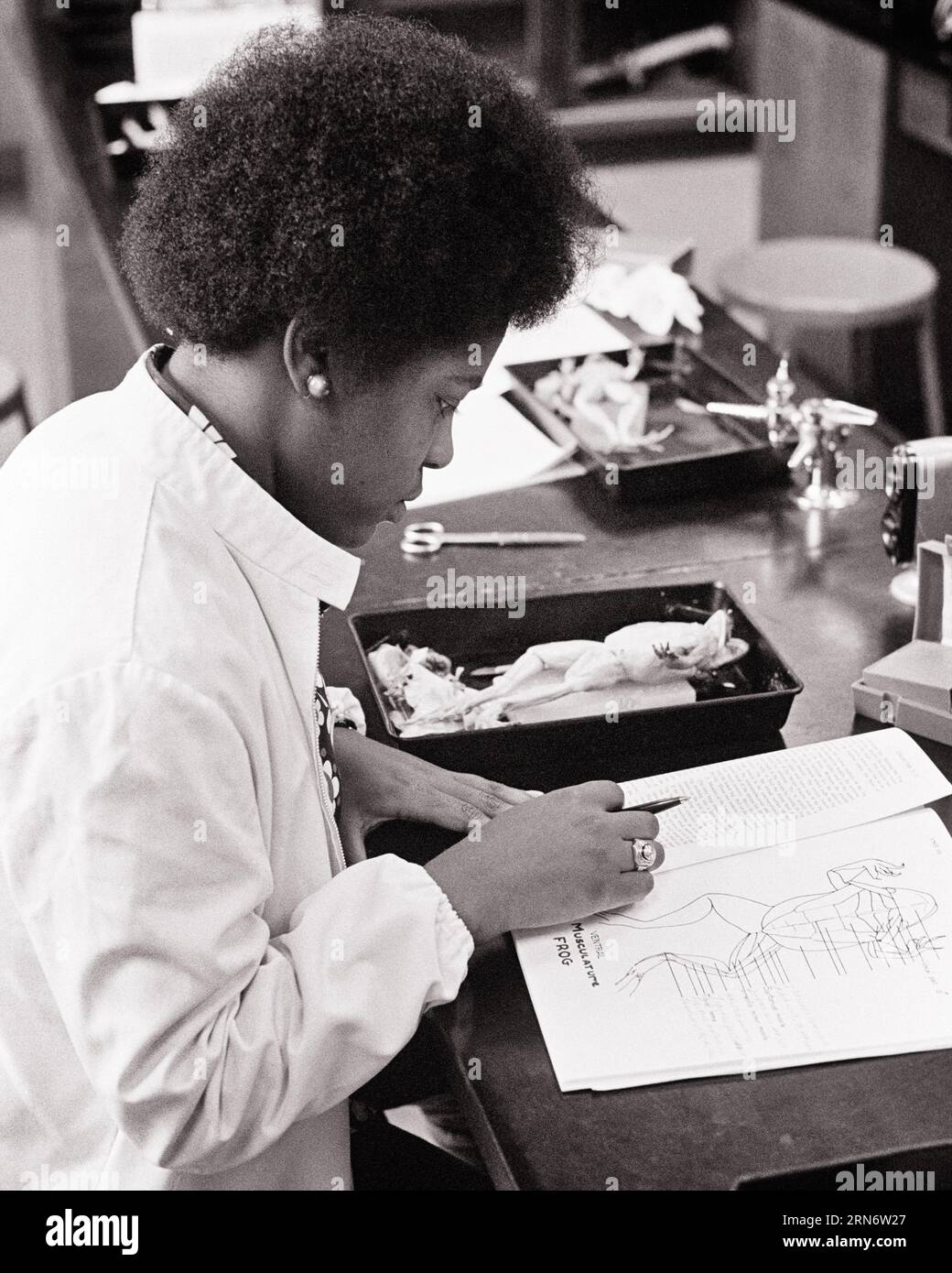 1970s AFRICAN-AMERICAN STUDENT IN BIOLOGY CLASS WORKING ON THE ...