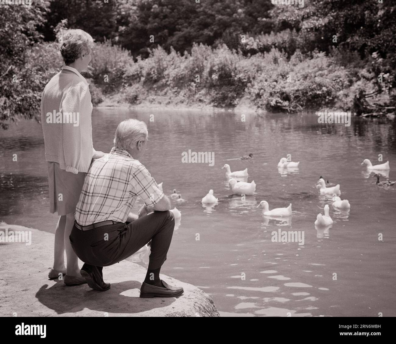 1960s SENIOR COUPLE IN PARK AT EDGE OF POND FEEDING THE DUCKS WOMAN ...