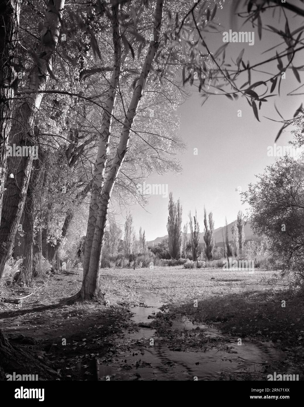 1950s california landscape hi-res stock photography and images - Alamy