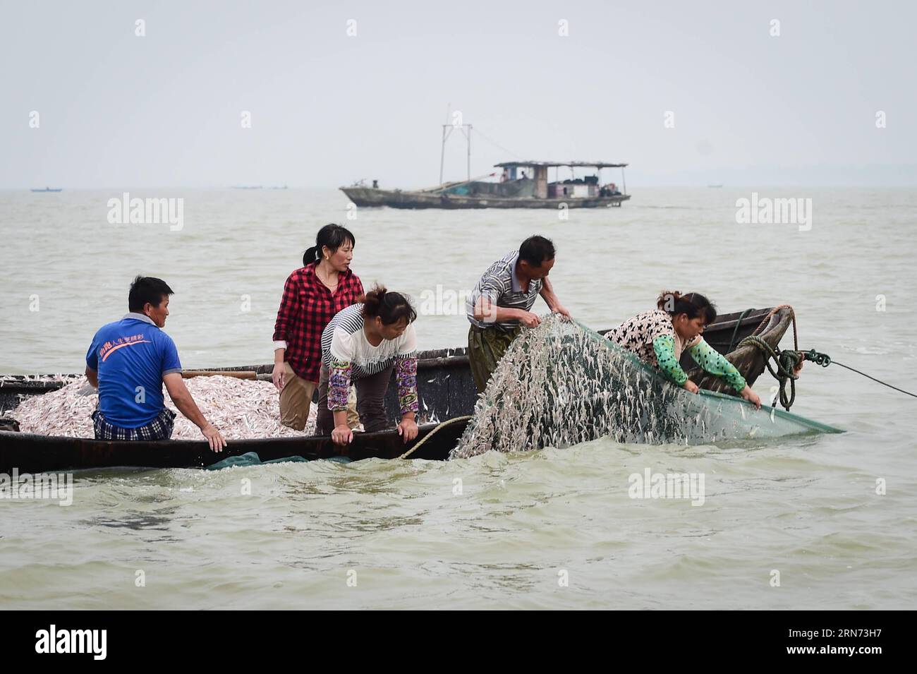 (150815) -- HEFEI, Aug. 15, 2015 -- Fishermen draw their fishing net in ...