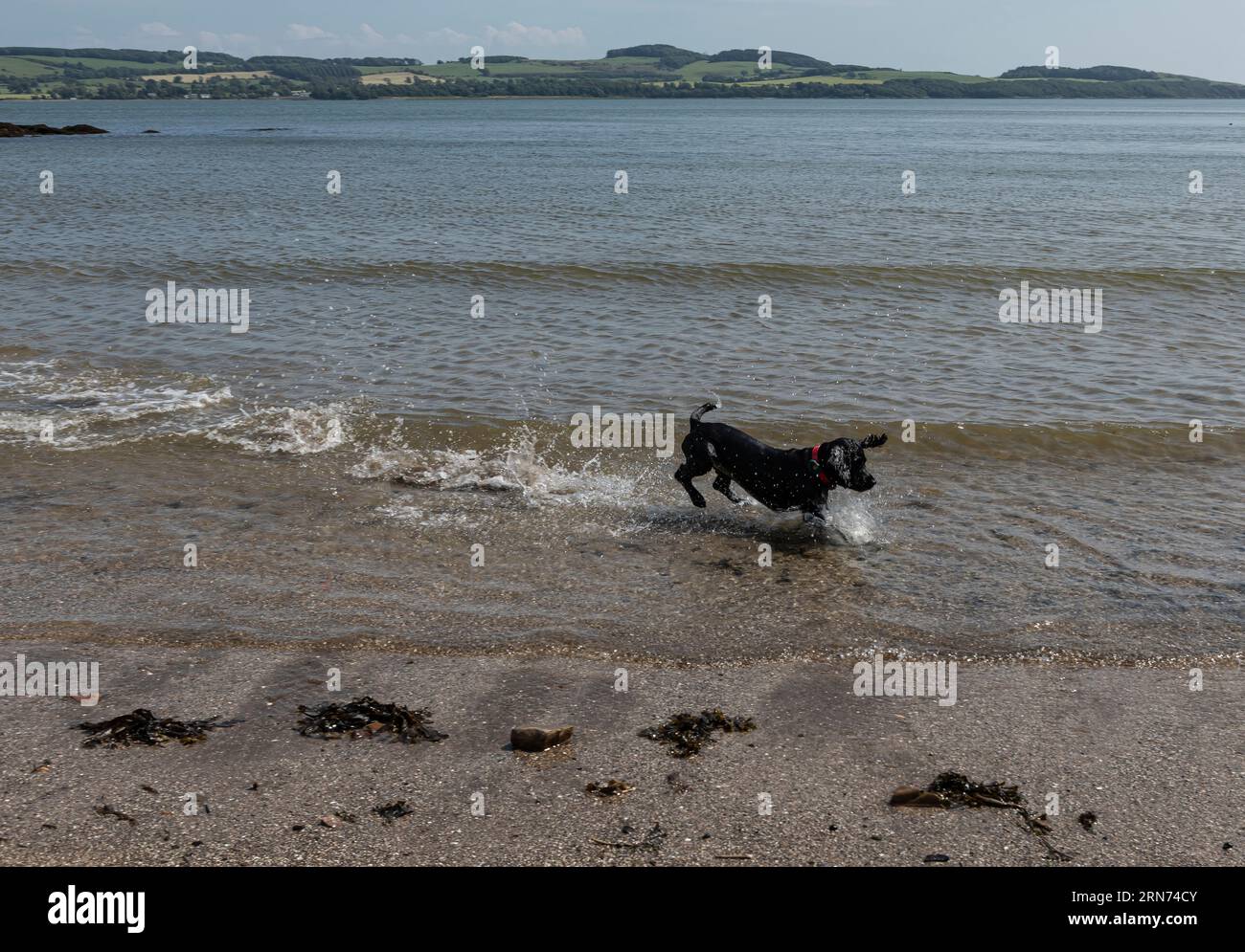 Remote scottish beach hi-res stock photography and images - Alamy