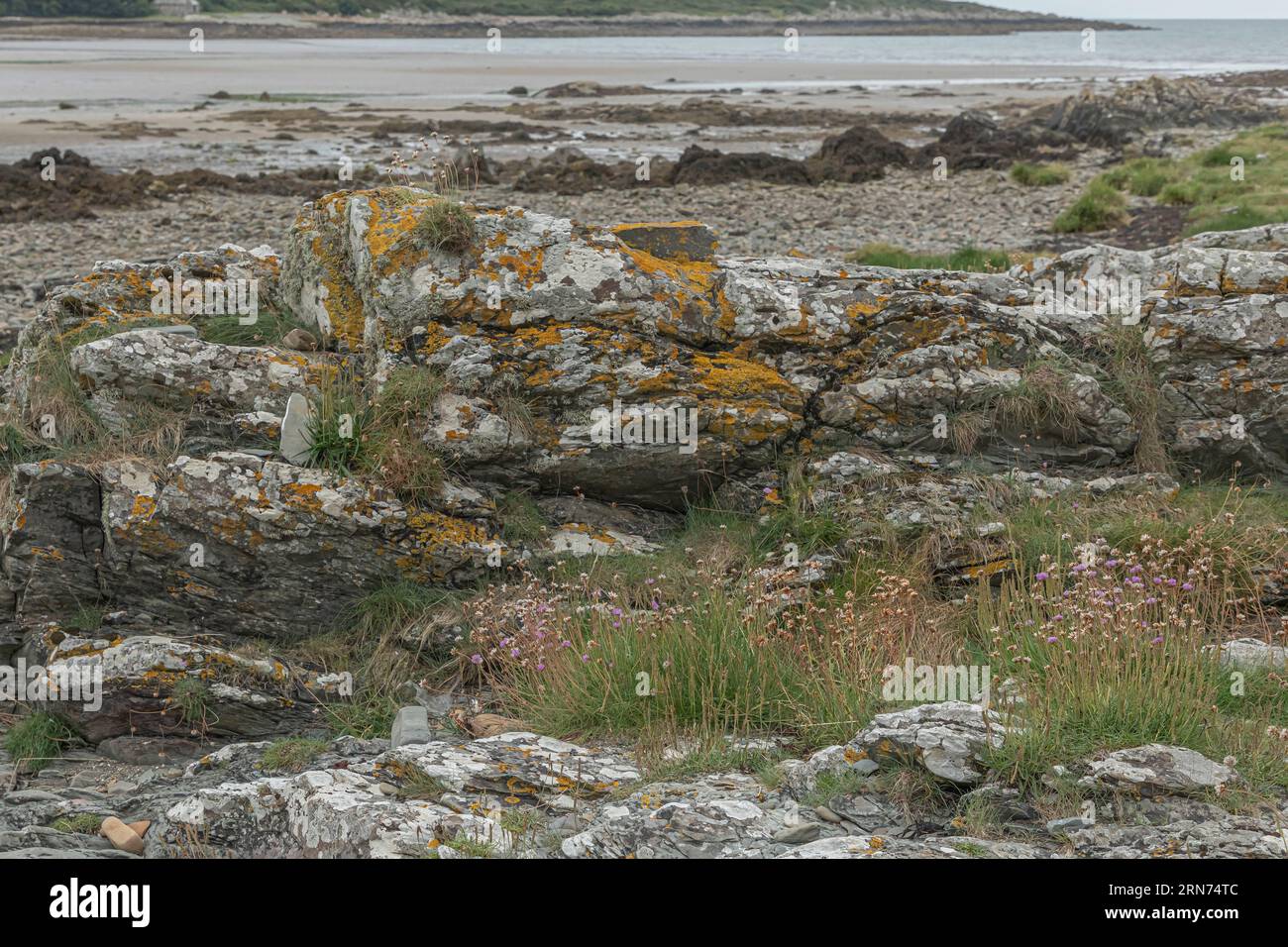Rocky Scottish shoreline with rocks, seaweed and licihen looking across ...