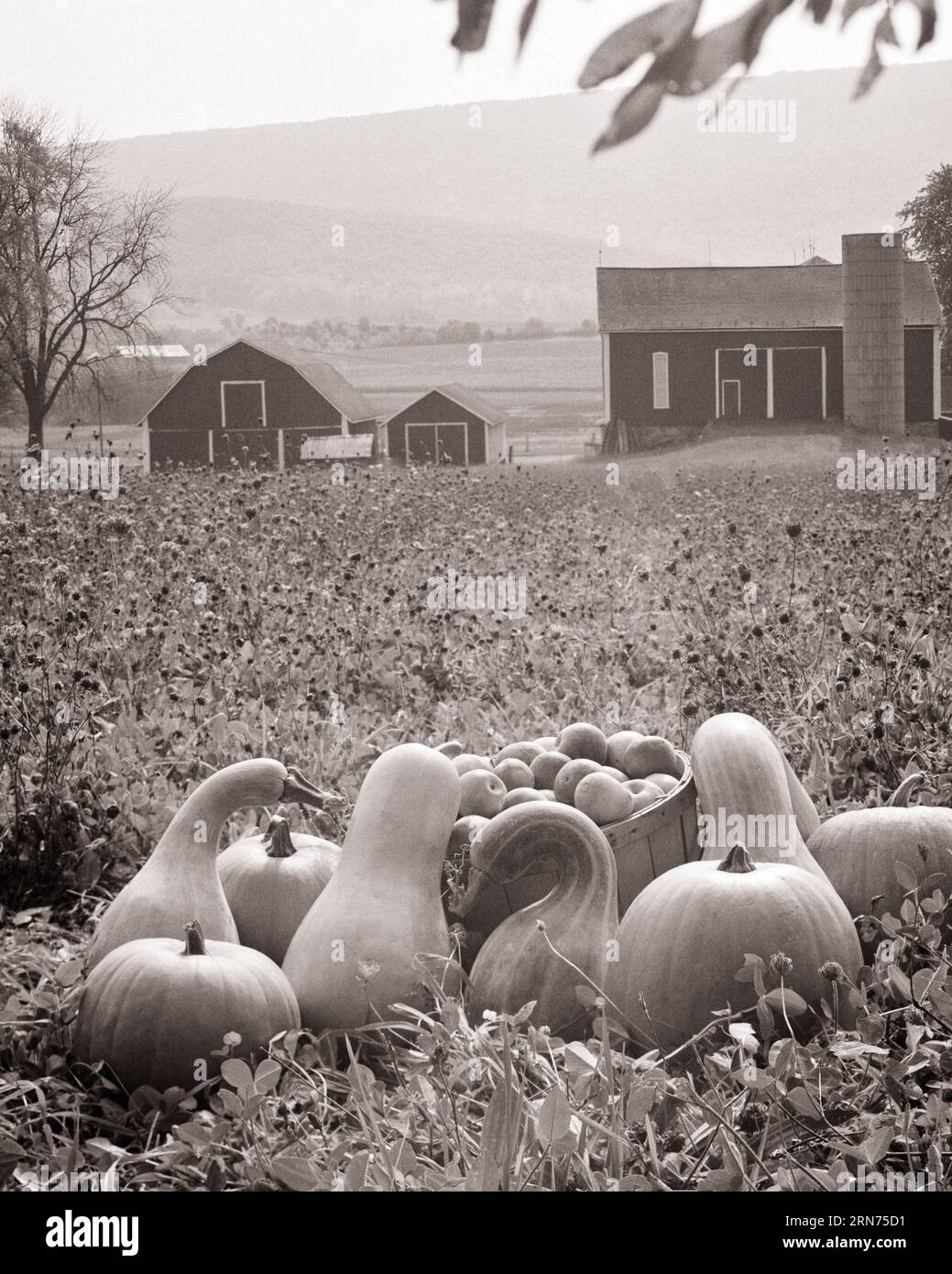 American barns hi-res stock photography and images - Alamy