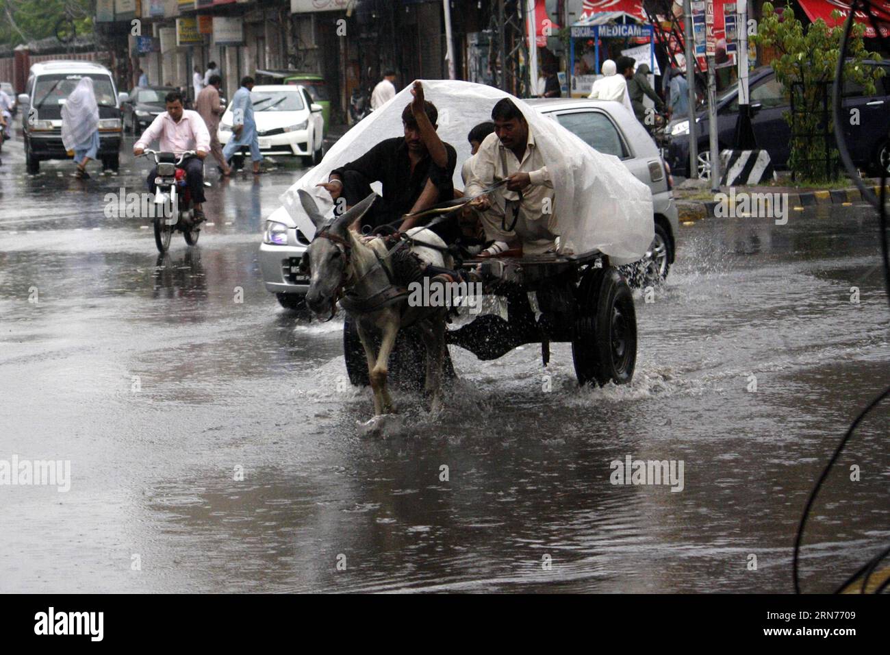 Donkey in the rain hi-res stock photography and images - Alamy