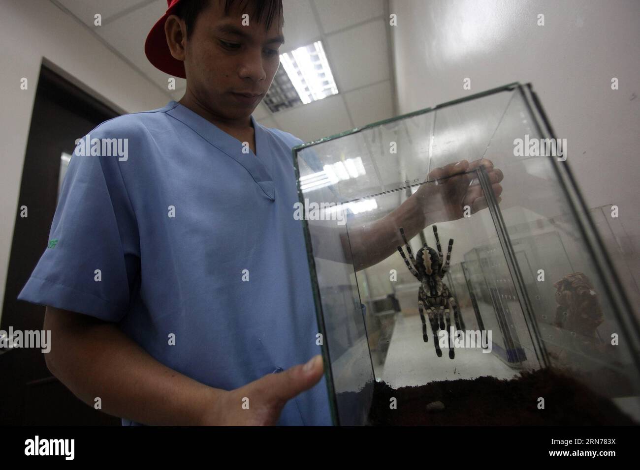 (150824) -- QUEZON CITY, Aug. 24, 2015 -- An employee from the ...