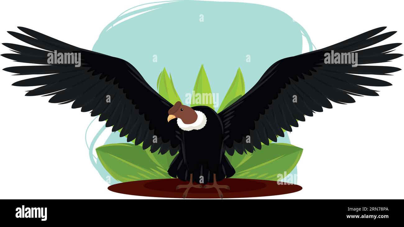 Condor zoo Stock Vector Images - Alamy