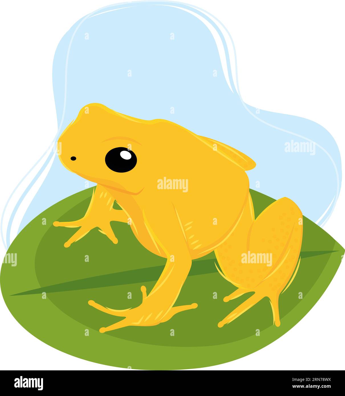 Isolated colored cute toad animal Vector Stock Vector Image & Art - Alamy