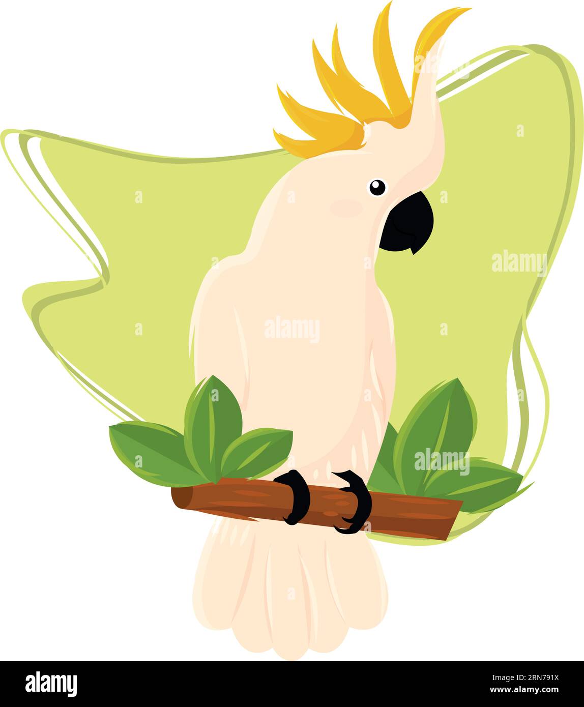 Isolated colored cute cockatoo animal Vector Stock Vector Image & Art ...