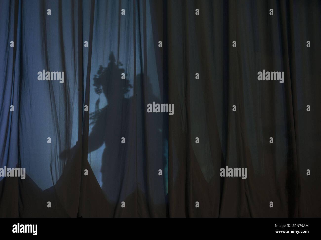 Yu lan hi-res stock photography and images - Alamy