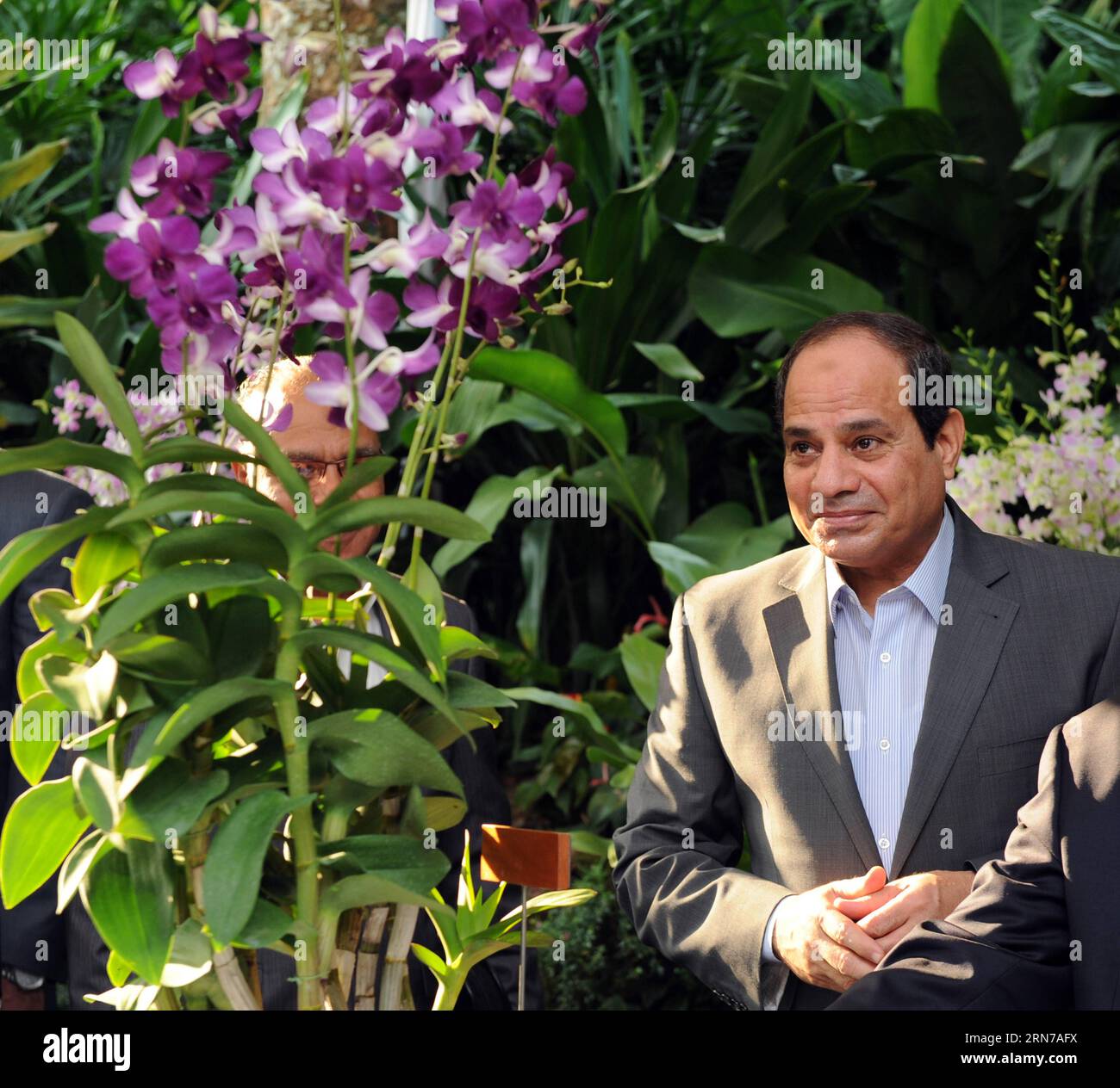 Singapore egypt hi-res stock photography and images - Alamy