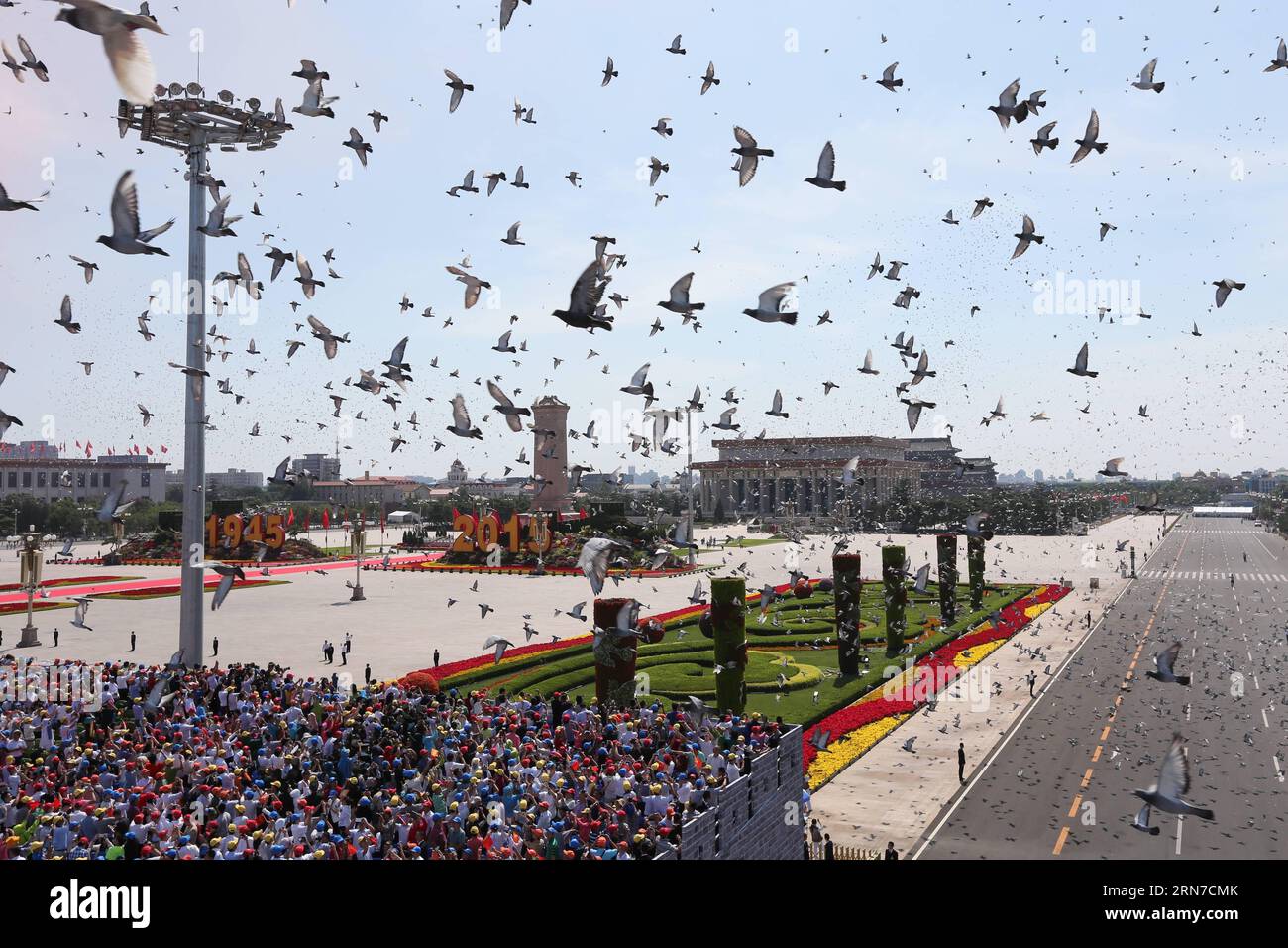Japanese doves hi-res stock photography and images - Alamy