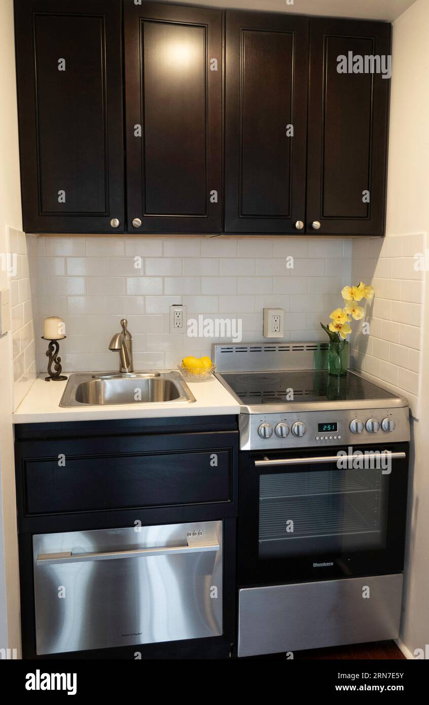 Studio apartment small compact kitchen provides space and efficiency ...