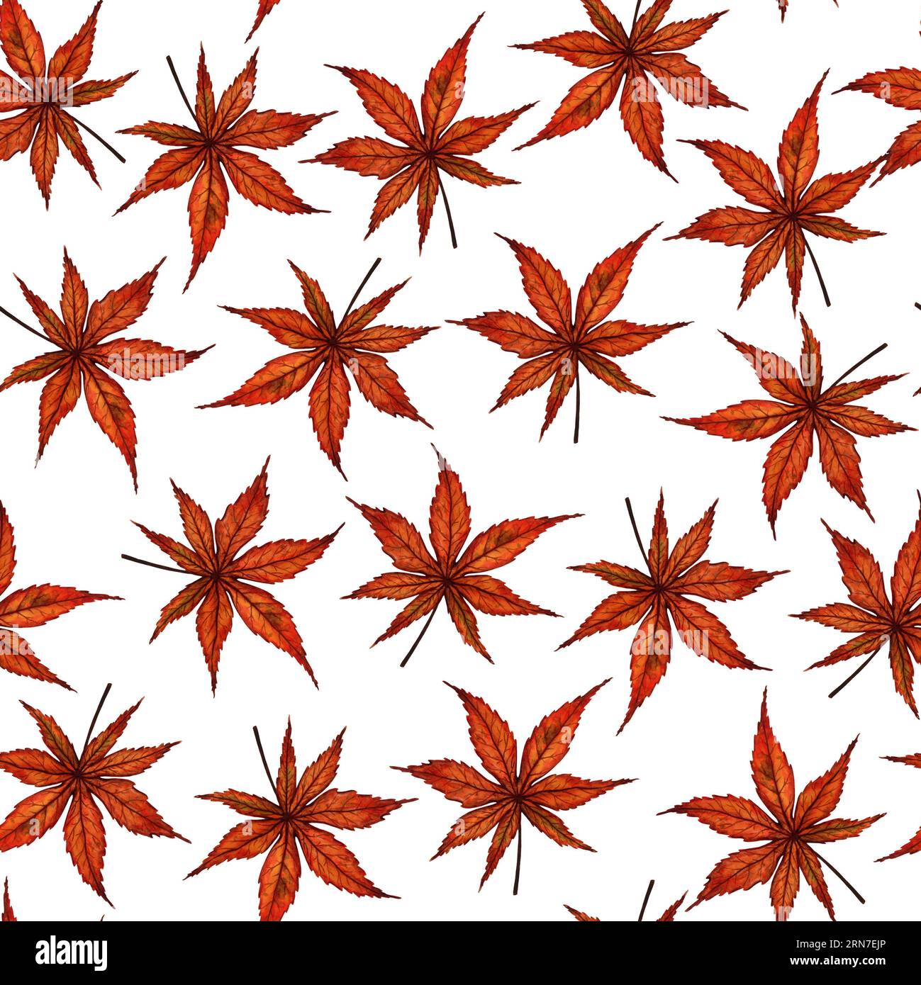 Watercolor autumn leaves pattern Cut Out Stock Images & Pictures - Alamy