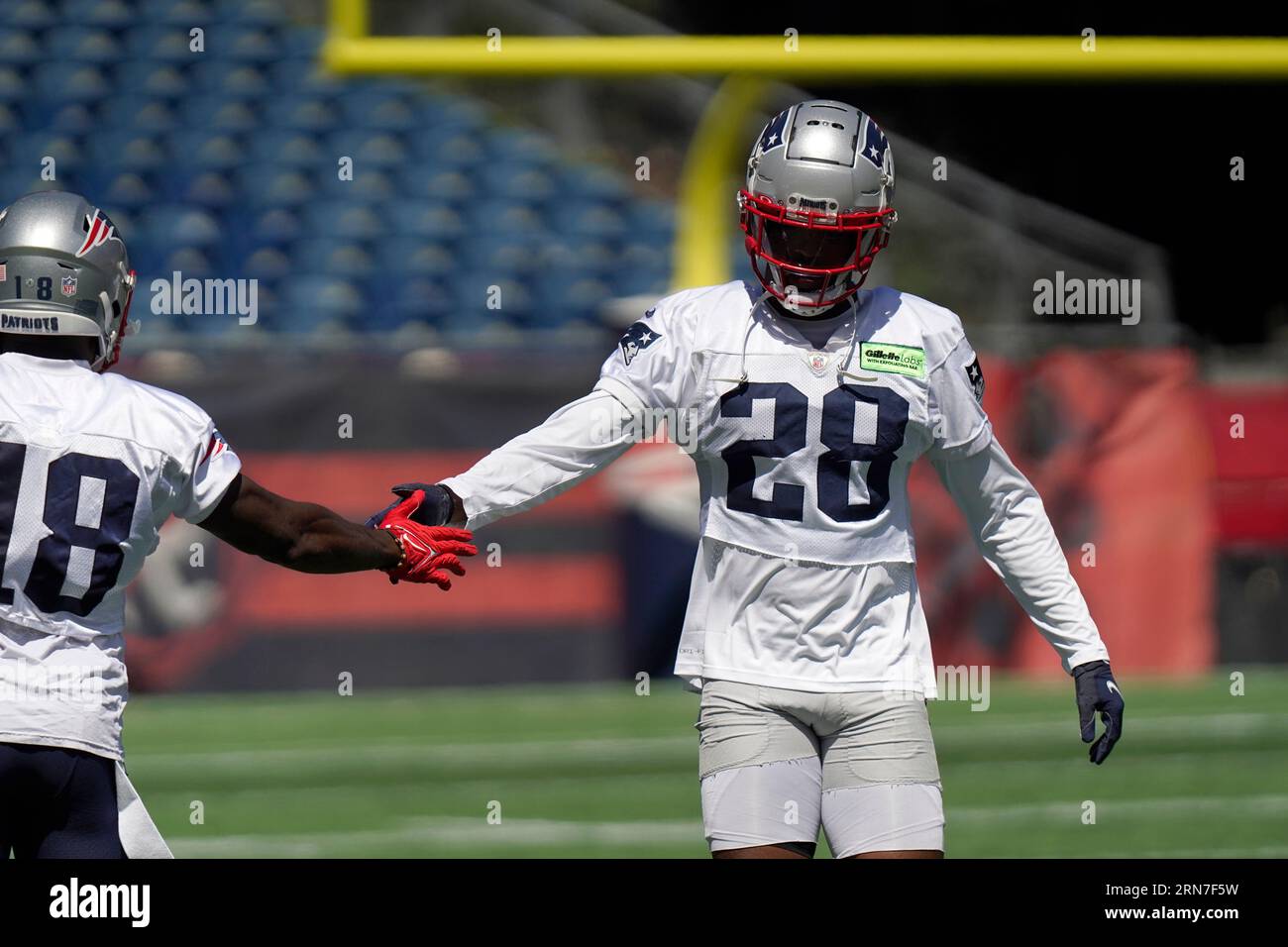 New England Patriots cornerback Ameer Speed (28) greets wide receiver ...