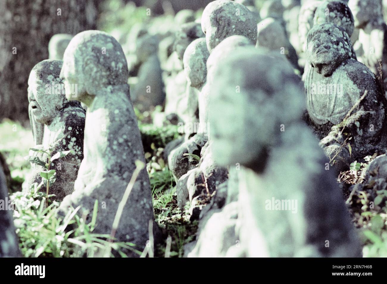 Otagi Nenbutsu-Ji Temple in Kyoto featuring 1200 sculptures Stock Photo ...