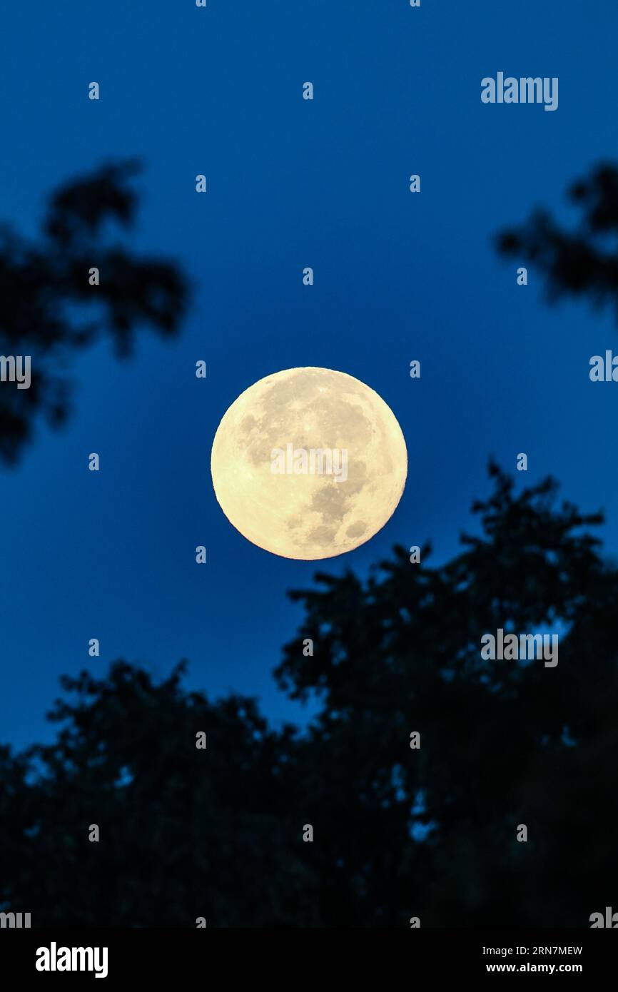 Full Super Blue Moon Stock Photo - Alamy