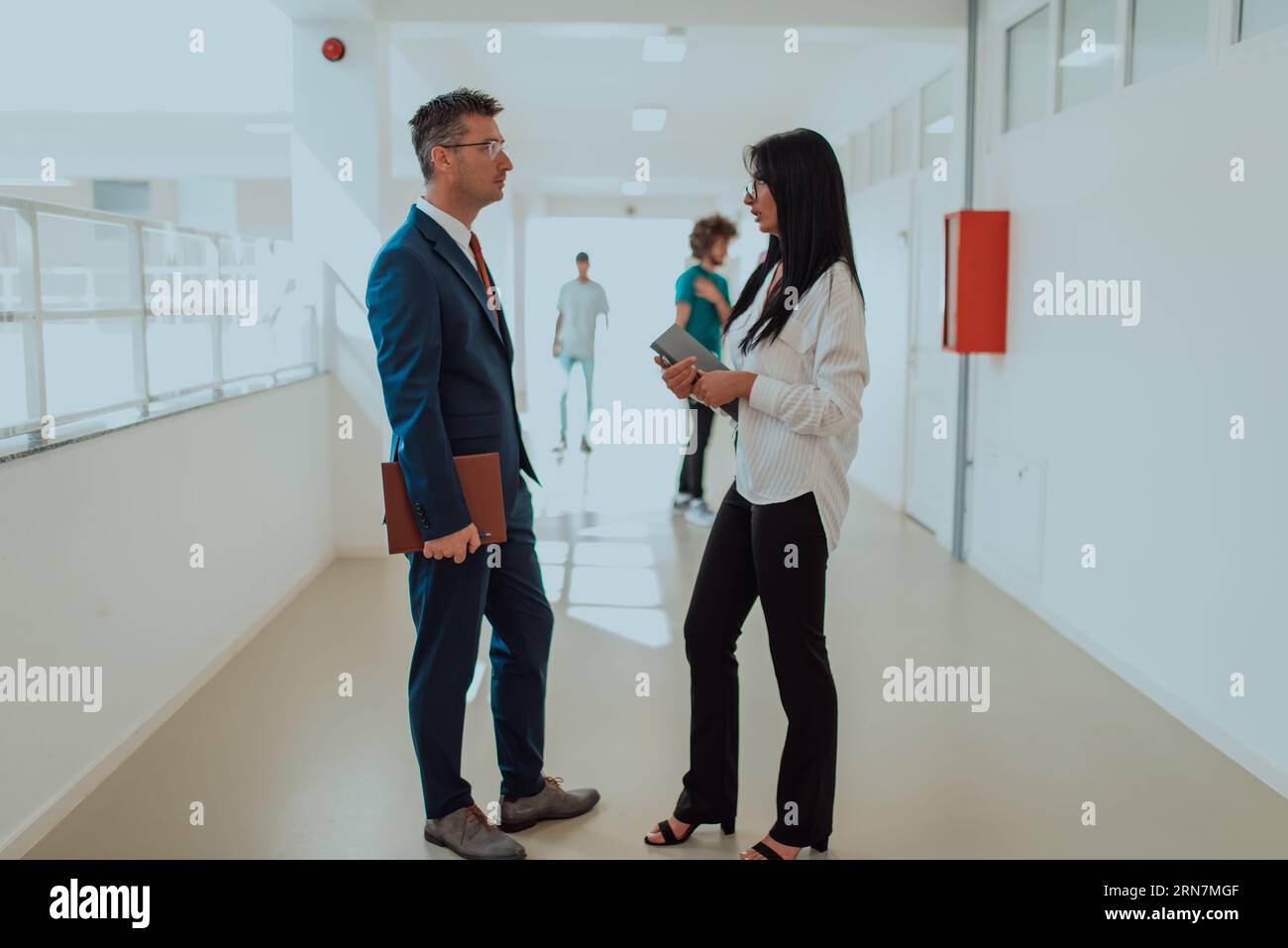 Business colleagues engage in a knowledge-sharing conversation during a ...