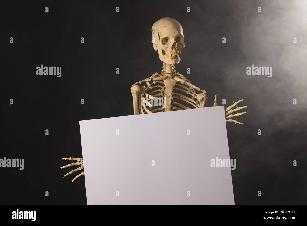 Plastic skeleton holding paper sheet and smoke with copy space on black ...