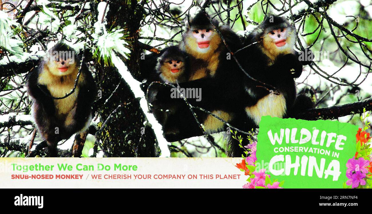 (150915) -- WASHINGTON D.C., Sept 15, 2015 () -- This picture offered ...