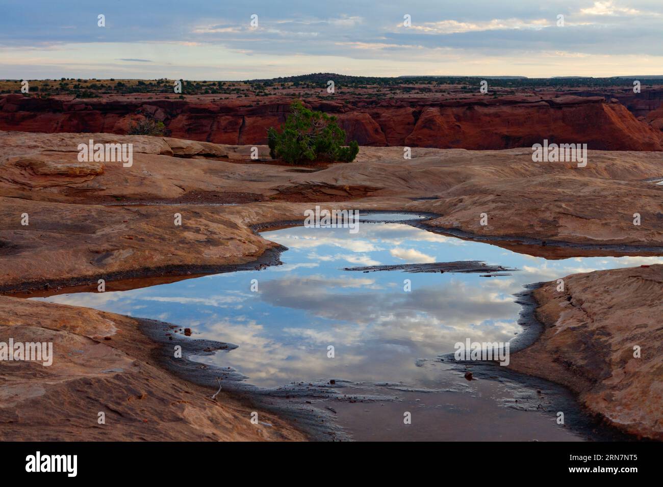 Rain pools at sunrise atop the Tsegi Overlook on the South Rim drive of ...