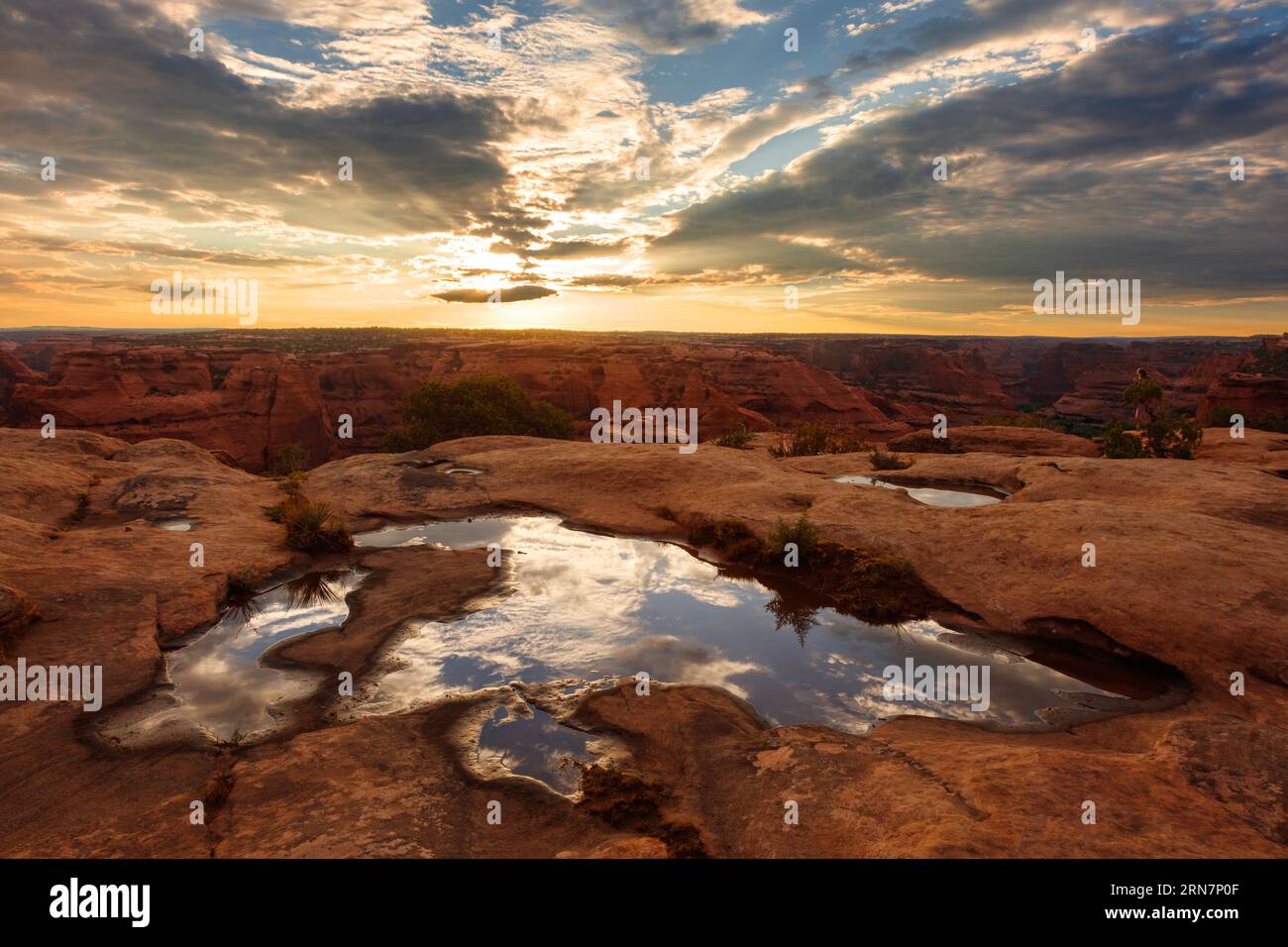Rain pools at sunrise atop the Tsegi Overlook on the South Rim drive of ...