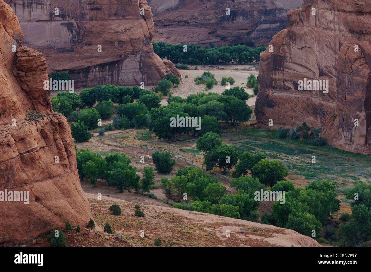 View from Junction Overlook at dawn from the South Rim drive of Canyon ...