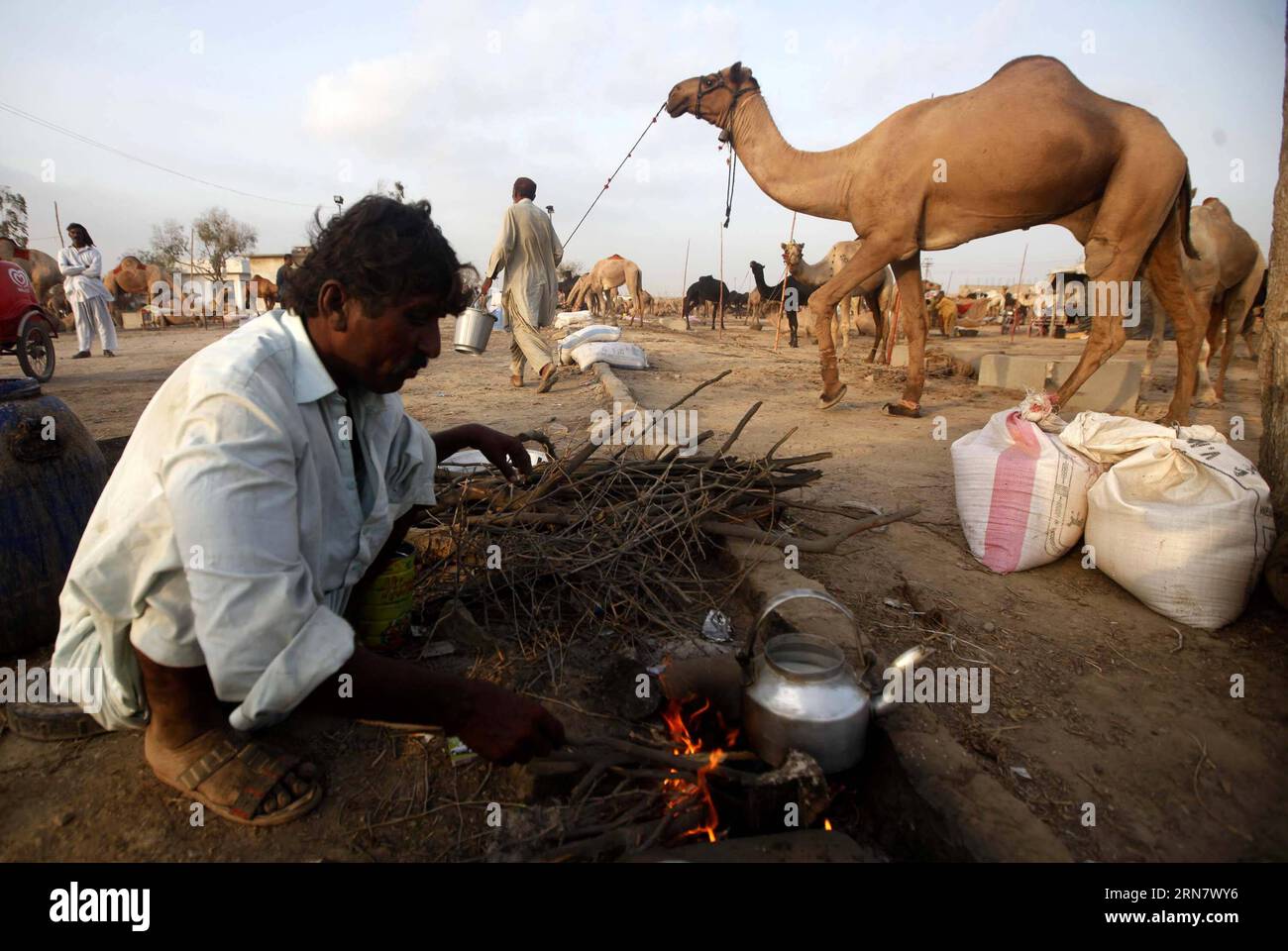 A camel vendor cooks food as he waits for customers at a cattle market ...